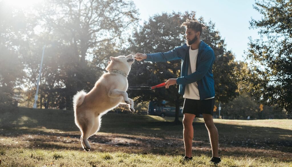 Top 15 Fun Outdoor Indoor Games To Play With Your Dog